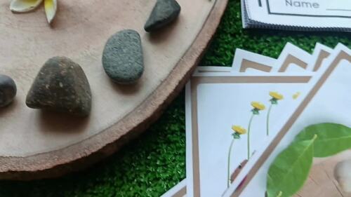Nature Faces Emotions & Behavior Traffic Light | Loose Parts Play ...