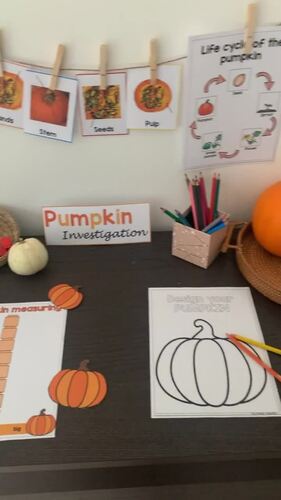 Todo sobre las calabazas - Área de ciencias - Ed. Infantil y Primaria