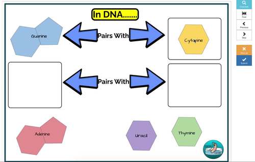 DNA/ RNA Transcription Translation Protein Synthesis Task Cards - Boom ...
