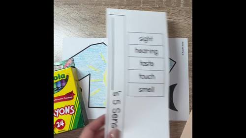 Five Senses Craft | Back to School Activity | All About Me | TPT