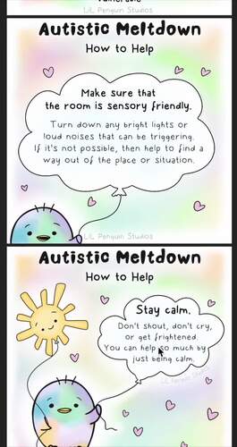 Autistic Meltdown How To Help Bulletin Board, De-escalation Worksheets ...