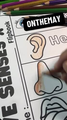 Five Senses Book Cut and Paste Activity|Kindergarten & First Grade