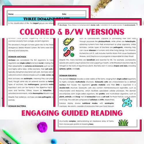 Domains of Life Guided Reading Comprehension Passage and Questions ...