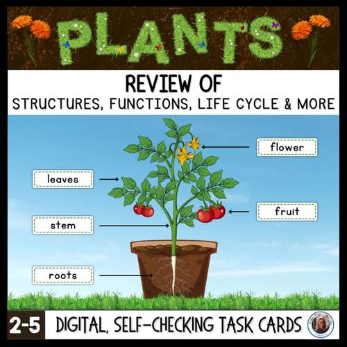 Plants Digital Task Cards|Review|Structures|Features|Life Cycles|Self ...