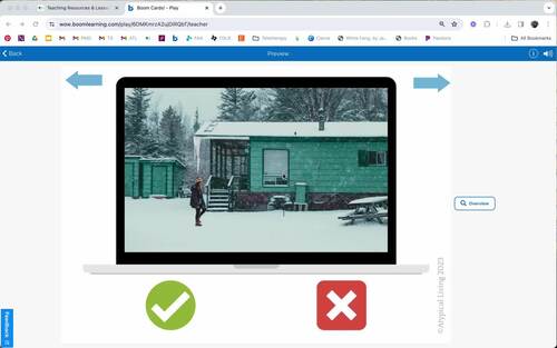 WINTER Safe or Not Safe: Interactive Life Skills Scenes on Boom or PDF