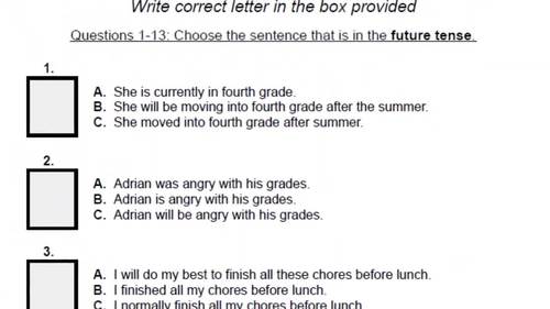 Future Tense Workbook: Simple, Progressive, Perfect UK/AUS Spelling (Word)