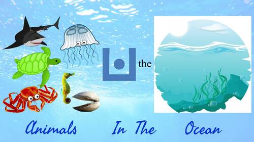 Animals in the Ocean Song Picture Lyrics for Pre-K, K, ESL through ...