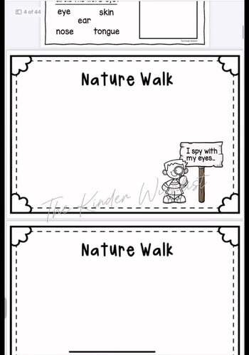 My Five Senses Kids Activities BUNDLE - Worksheets Posters Flashcards ...