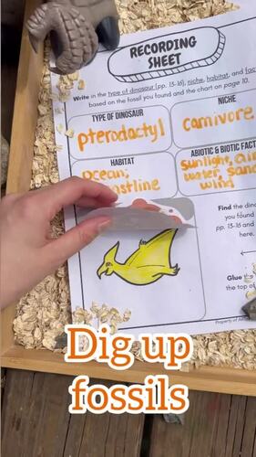 Ecosystem Unit Bundle for Third Grade NGSS- Biomes, Habitats, and Food Webs