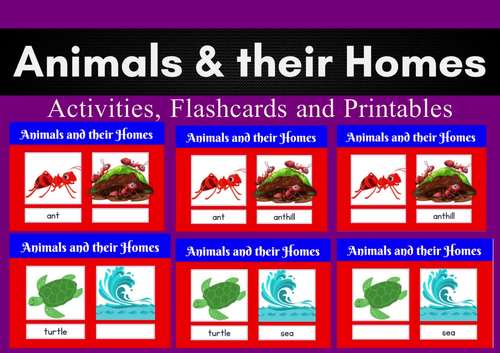 Animal Habitats with Pictures Flash cards | Distance Learning ...