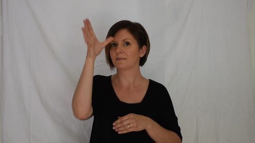 Master ASL Unit 4 Gif Files by ASL hands on deck | TPT
