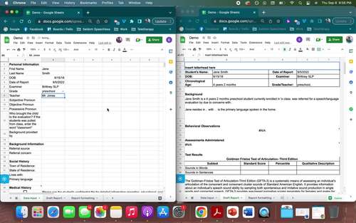 15 Minute Speech Eval Report Bundle Google Sheets Autopopulating