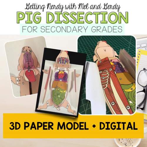 Fetal Pig Dissection Zoology | Biology 3-D Anatomy Paper Dissection Model