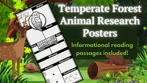 Black Bear Reading Comprehension Informational Text All About Bears Fun ...