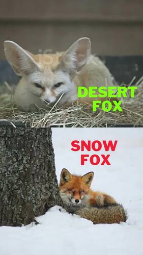 Evolution PowerPoint, Notes & AP Biology Review Questions (MCQs)