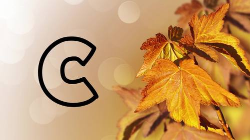 Fall Morning Routine PreK by mp4444 | Teachers Pay Teachers