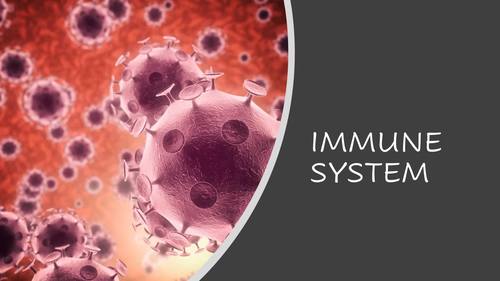 Immune System Lesson w/ Activities & Quiz- Animated PowerPoint w/ Script
