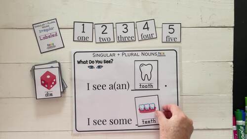 Plural Nouns Flash Cards & Sentence Frames, Singular/Plural, Regular ...
