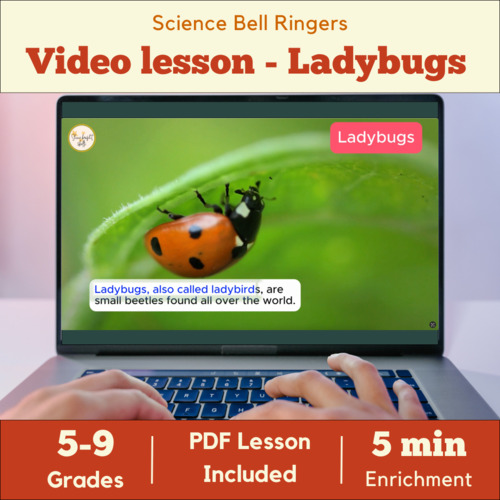 Science bell ringer video (4 min) - Ladybugs - Middle school | TPT