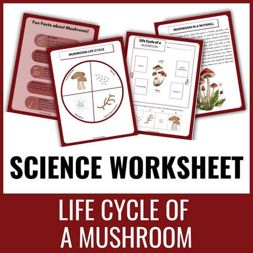 Mushroom Life Cycle Worksheet- Plant Science Unit Study With Fun Facts!