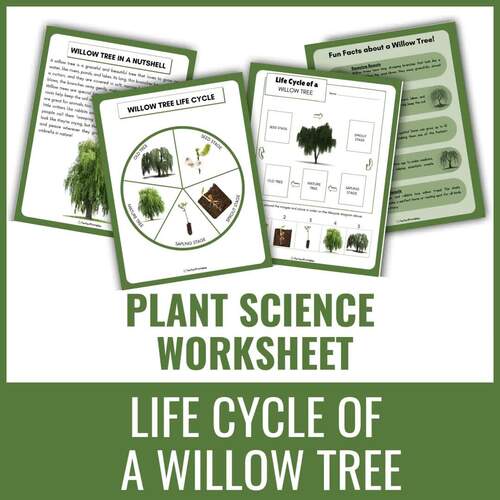 Life Cycle of a Willow Tree Worksheet | Plant Science Unit Study With ...