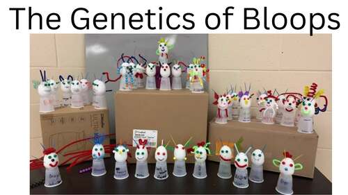 Genetics Activity Lab Making Bloops and Reading Middle School Science