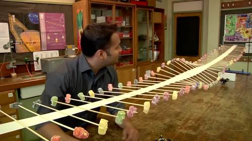 GUMMY-BEAR WAVE MACHINE PROJECT by BILAL SARIMESELI | TPT