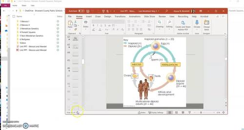 Biology Regular/Honors - Genetics Bundle - PPT, Activities, & Resources