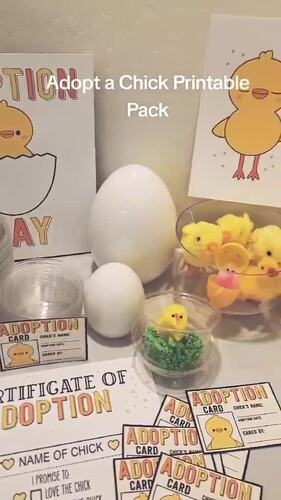 Chick Adoption Station Printable Adopt a Chick Activity | Spring ...