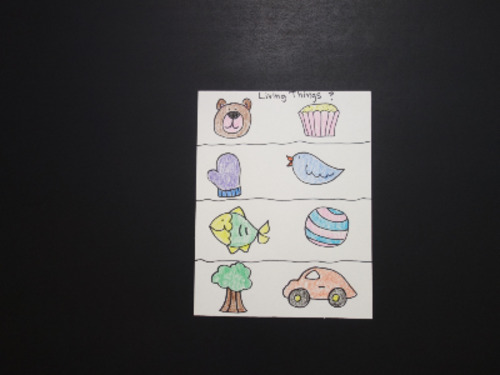 Let's Draw Living and Non Living Things! by Patty Fernandez Artist