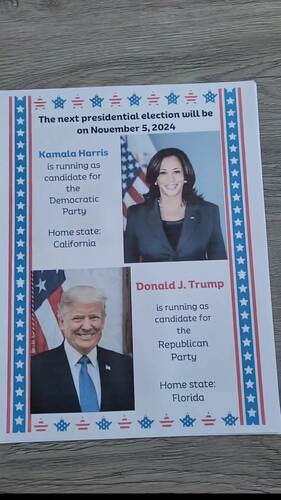 Election 2024 15 pg. activity learning packet by SingleMomHustlePrintables