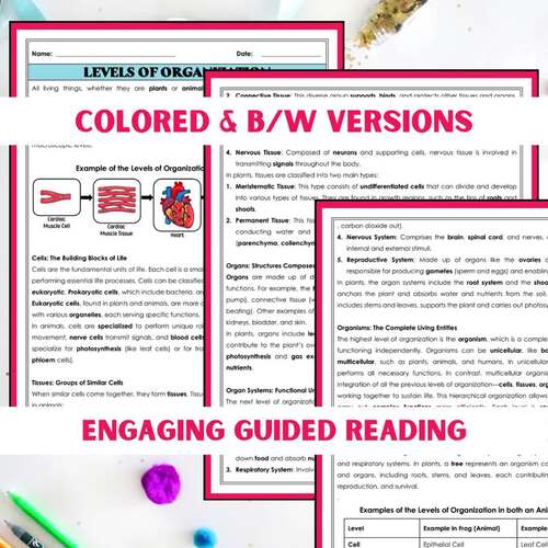Cells Tissues Organs Systems Reading Comprehension Passage & Question ...