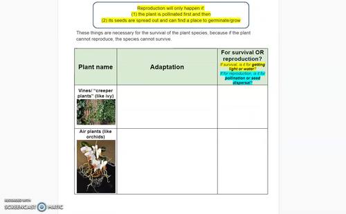 Adaptations Video Bundle - Plant and Animal Behavior - BBC Life - MS-LS1-4