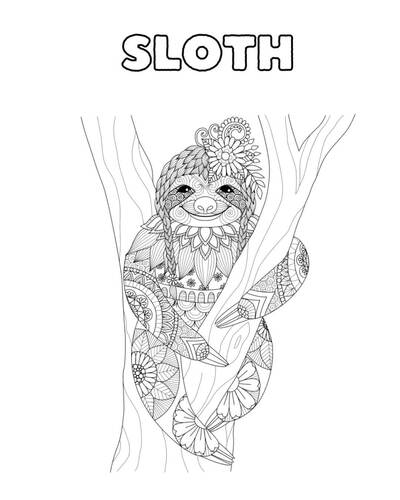 Sloth coloring page for all ages by ContentCaptain | TPT