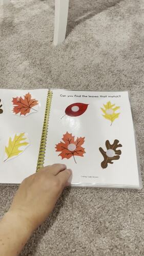 Fun Fall Matching Book by EducationPotential | TPT