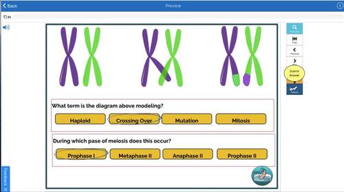 Meiosis (with mitosis review) Digital Task Cards - Boom Cards | TPT