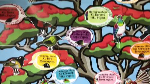 Our New Zealand Native Birds Kōrero Māori by Michele Coxhead | TpT