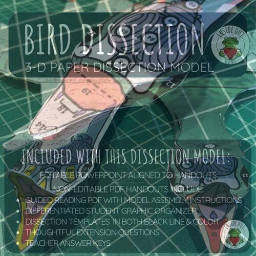 Bird Dissection Zoology | Biology 3-D Anatomy Paper Dissection Model ...