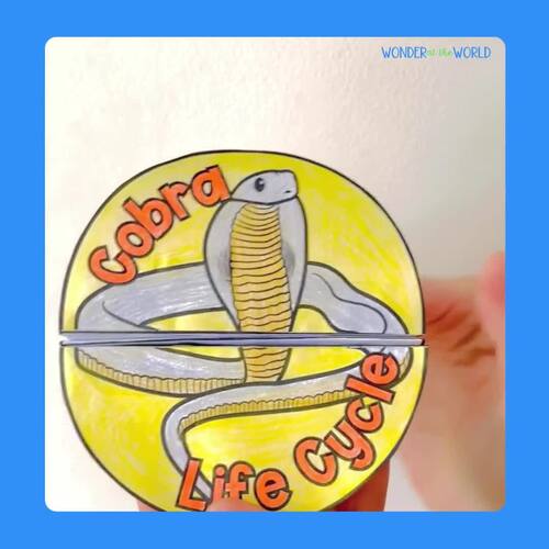 Life cycle of a cobra snake reptile sequencing activity cut and paste craft