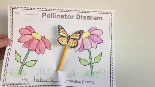 Pollination - Cross-Curricular Reading & Science - NGSS 2 -LS2-2