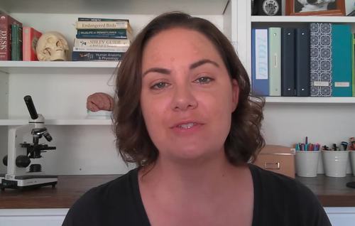 Environmental Science Curriculum - Full Year of Lesson Plans, Labs, and ...