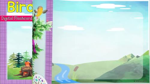 Birds Identification flashcards - Natural Science (SPRING) | TPT