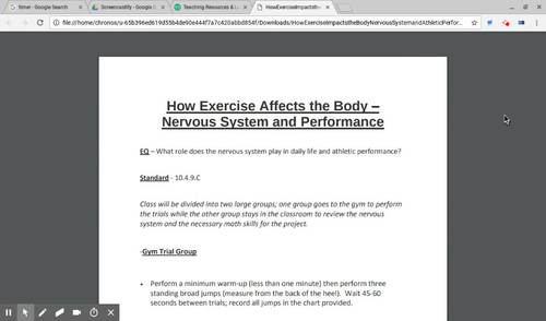 How Exercise Impacts the Body - Nervous System and Athletic Performance