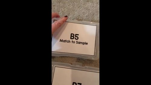 Matching Task Cards [ABLLS-R Aligned B5, B7] by The Autism Helper