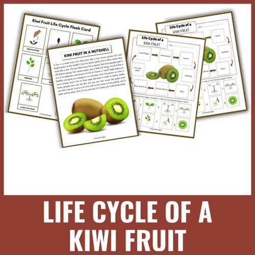 Kiwi Fruits life cycle, plants science unit study with fun facts!