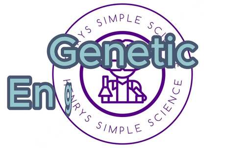 Genetic Engineering - low ability/special ed/SEND by Henrys Simple Science