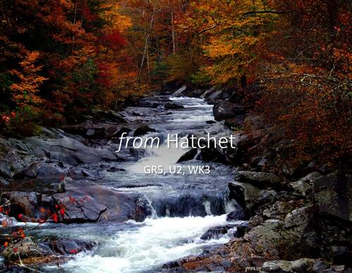 MyView 5th Grade, Unit 2, Week 3 "from Hatchet" Vocabulary PowerPoint/PDF