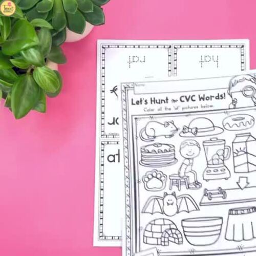 CVC Word Family 'AN' No Prep Phonics Printables by Tweet Resources