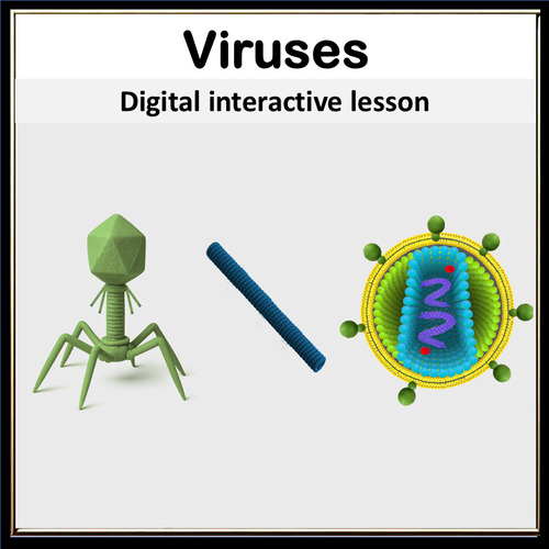 Viruses: Structure, Infection, and Life Cycles Interactive Biology Lesson