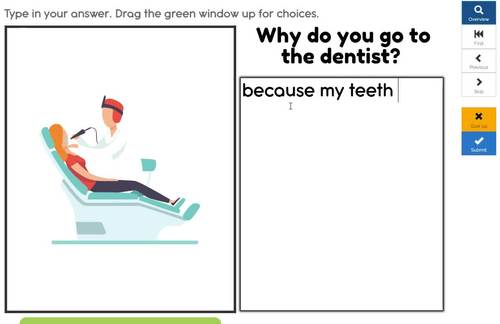 Boom Cards™ Cause-Effect: Why Questions in the Home and the Community